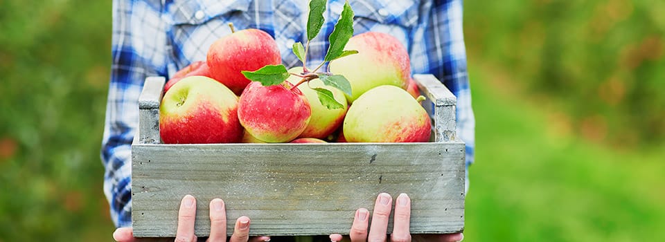 What Is a Cross-Allergy? Pollen-Food Reactions Explained - Allergy Gate